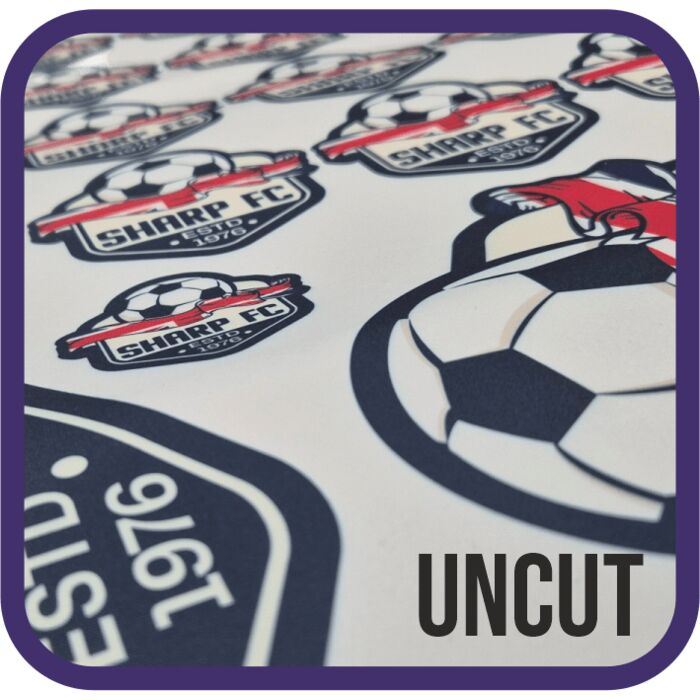 PAP Print-A-Patch David Sharp